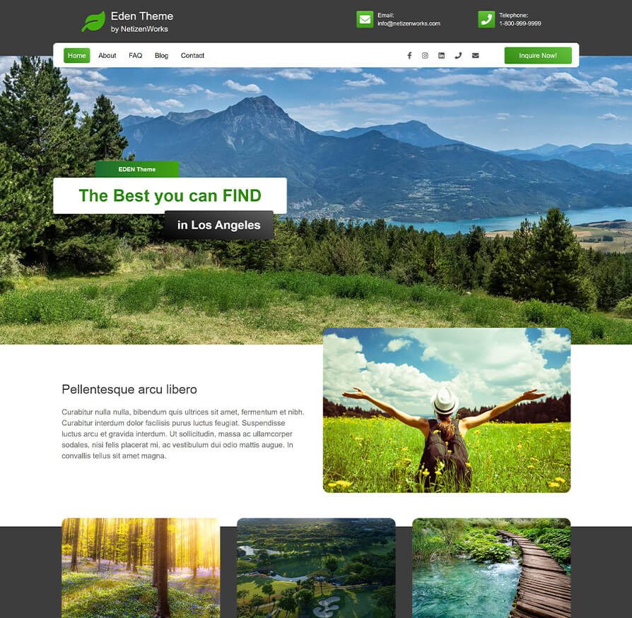 Website Design - Pre-made Themes - NetizenWorks Web Design